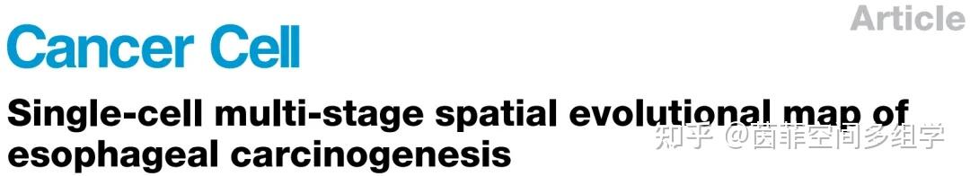 Cancer Cell封面 | 国内首篇Xenium食管癌应用文章亮相 - 知乎