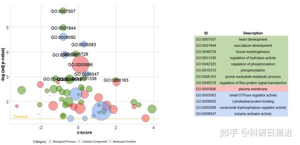 如何使用GOplot画一张精美的GO分析图 - 知乎