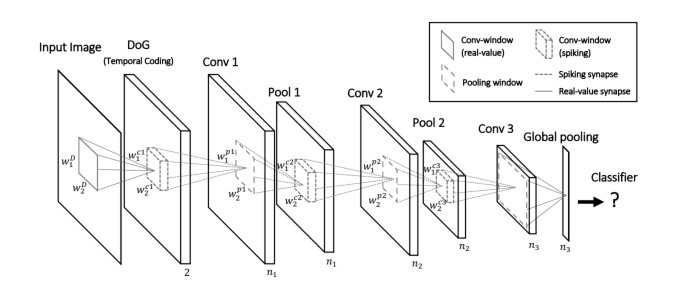 STDP-based spiking deep convolutional neural networks for object recognition - 知乎