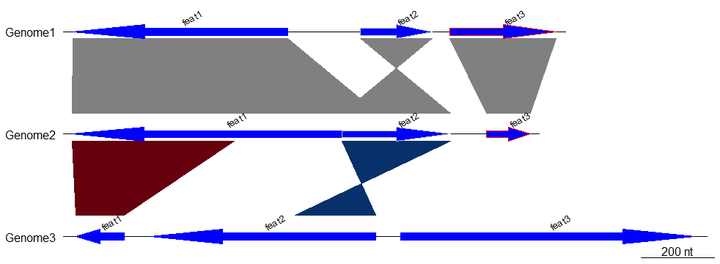genoPlotR绘制基因组结构（Part III 添加结构比较对象） - 知乎