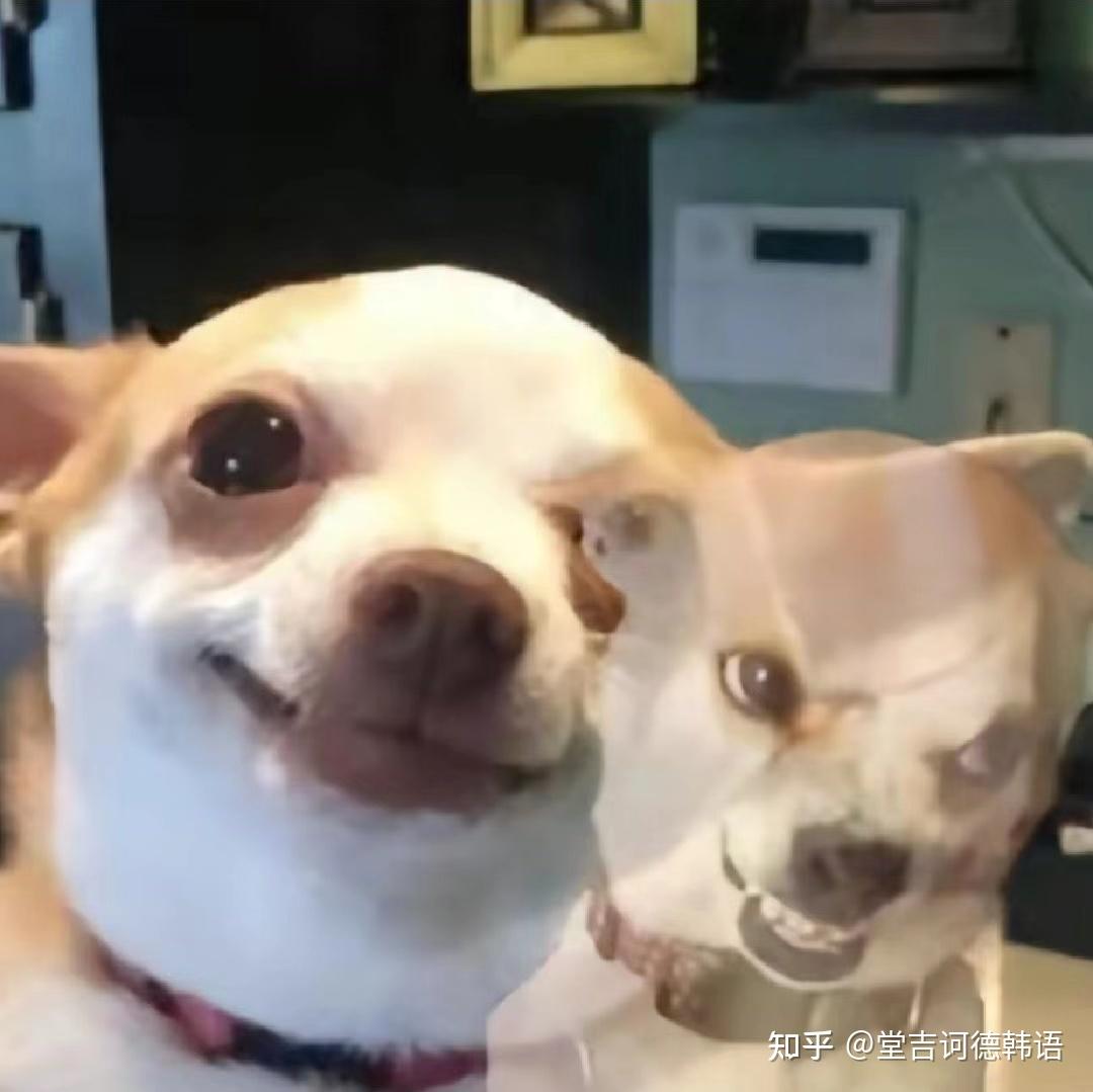 72-88届TOPIK写作真题【未公开】合集！真题+答案+解析，무료!^^ - 知乎