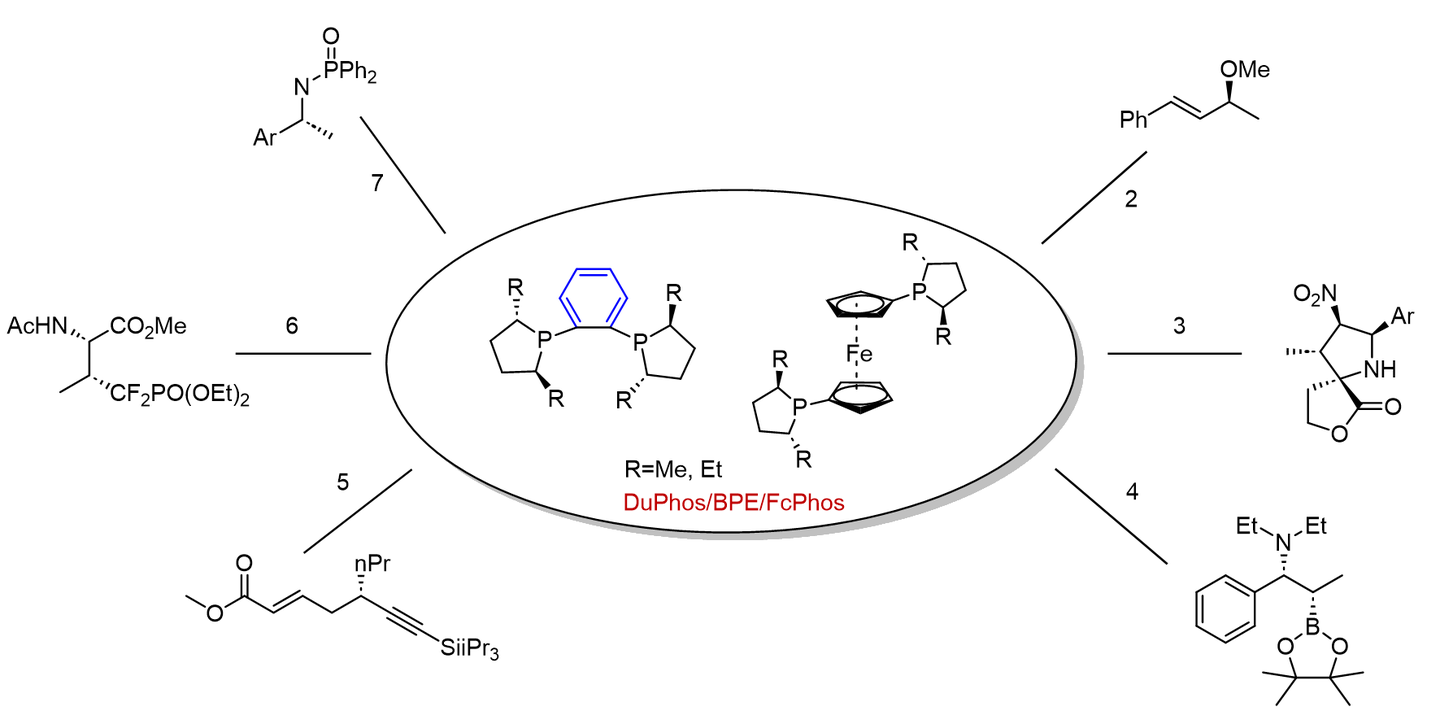 DuPhos系列配体：为精细化学品合成赋能 - 知乎