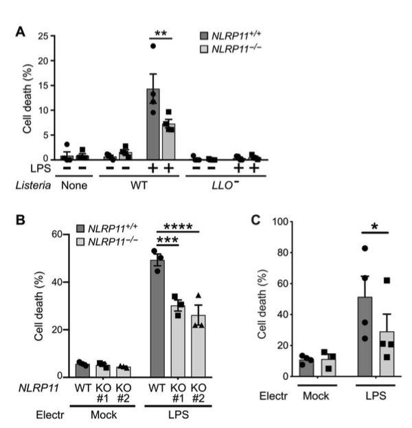 Science Immunology丨NLRP11 是人类巨噬细胞胞浆中细菌脂多糖的模式识别受体 - 知乎