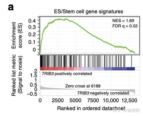 单基因GSEA分析策略 - 知乎