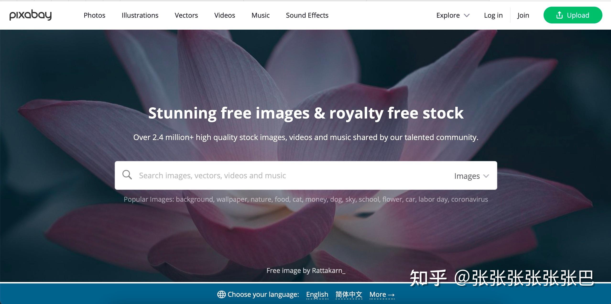 PPT技能收藏版 - 知乎