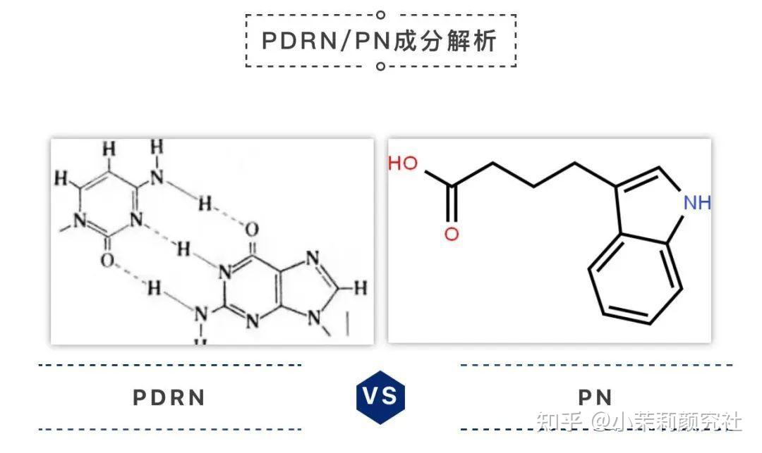 PN和PDRN的区别是什么？两者如此相像，功效一样吗？ - 知乎
