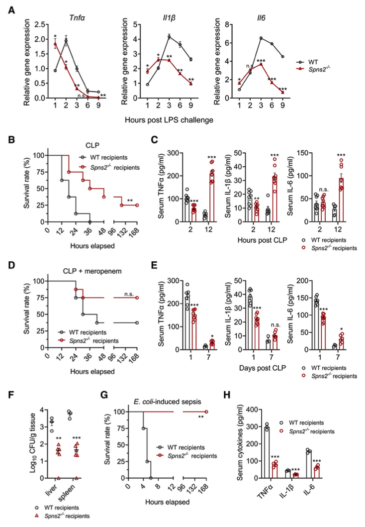EMBO Reports丨增强巨噬细胞中的 Spns2/S1P 可减轻脓毒症中的过度炎症并防止免疫抑制 - 知乎