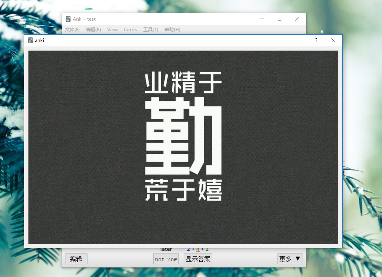Anki电脑端上值得推荐的十个插件 - 知乎