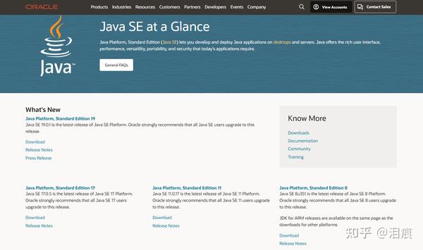Java开发环境安装配置详细教程（Windows11） - 知乎