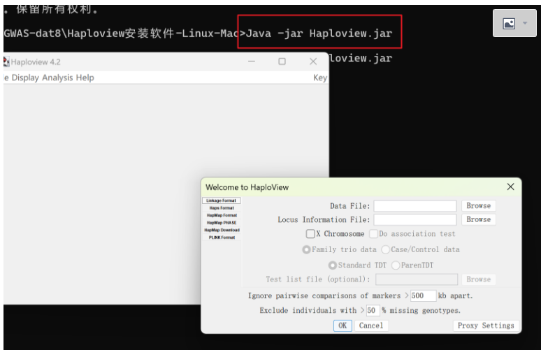 从入门到出家：单倍型Haploview分析（万字详解） - 知乎