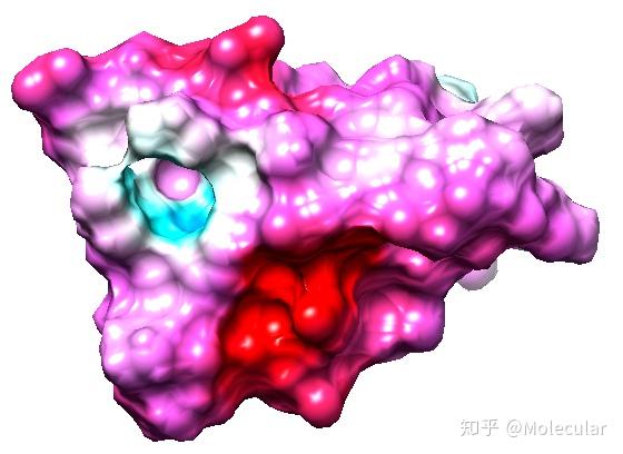 计算生物大分子表面静电势_APBS工具 - 知乎