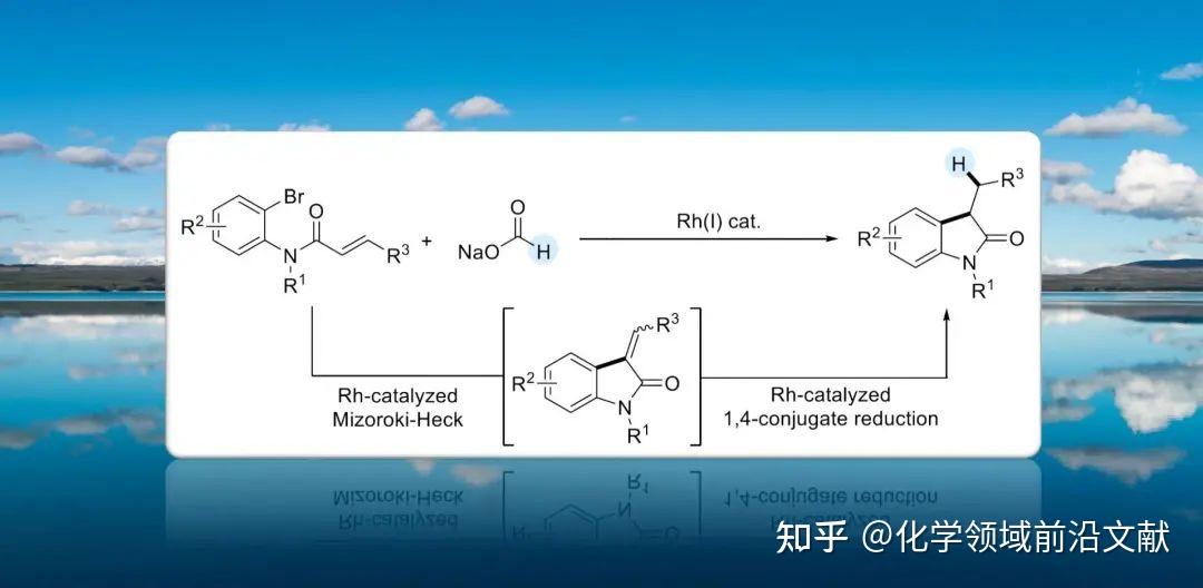 ACS Catal.：Rh(I)催化的多米诺Heck/1,4-氢加成反应 - 知乎