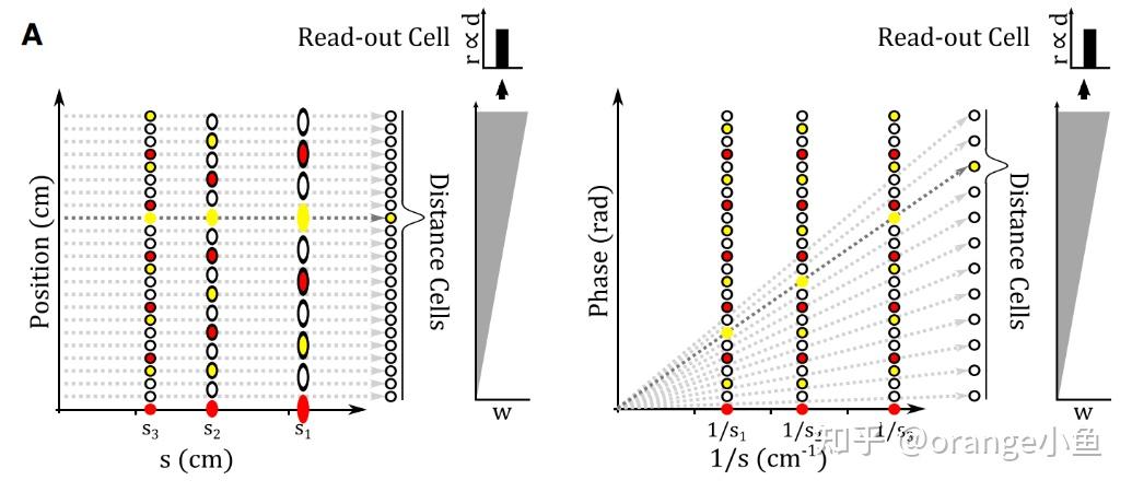 Using Grid Cells for Navigation - 知乎