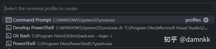 Developer Command Prompt集成到VScode - 知乎