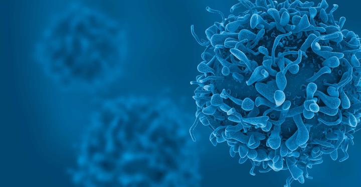 免疫系统的指挥家——DC细胞 - 知乎