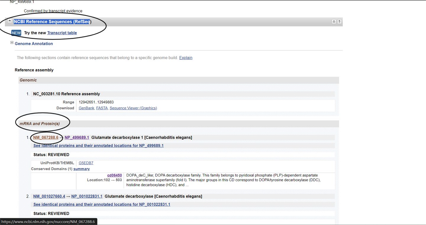 生物实验笔记——qPCR 引物设计 - 知乎