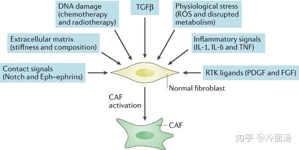 A framework for advancing our understanding of cancer-associated ...