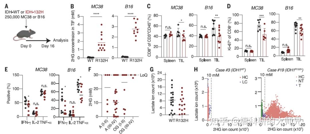 研究生如何进行文献精读？主刊Science教你大热的代谢免疫研究思路—肿瘤细胞分泌促癌代谢物D-2HG抑制CD8 T细胞糖酵解 - 知乎