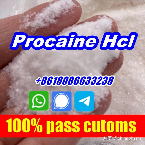 Procaine hcl Procaina powder Procaine hydrochloride 51-05-8 - 知乎