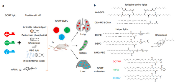 谢雨礼博士：药物递送——生物医药未来的“卡脖子”技术（下） - 知乎
