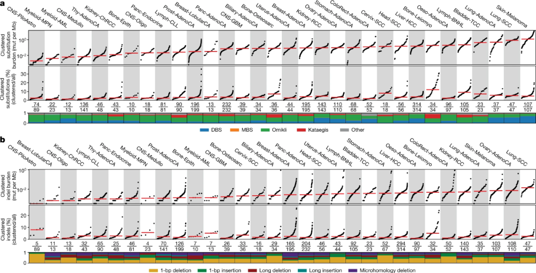Nature | 绘制染色质外DNA的APOBEC3聚集突变图揭示癌症进化与预测生存 - 知乎