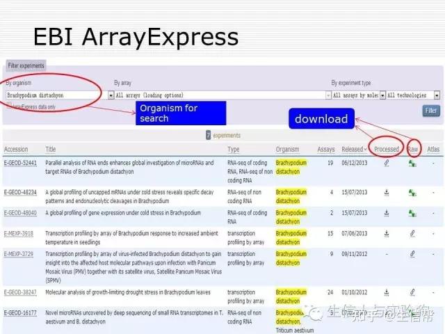 史上最全基因家族分析流程及总结 - 知乎