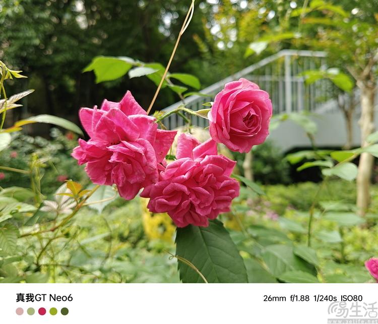 真我GT Neo6评测：性能激进、同时更是熟悉的味道 - 知乎