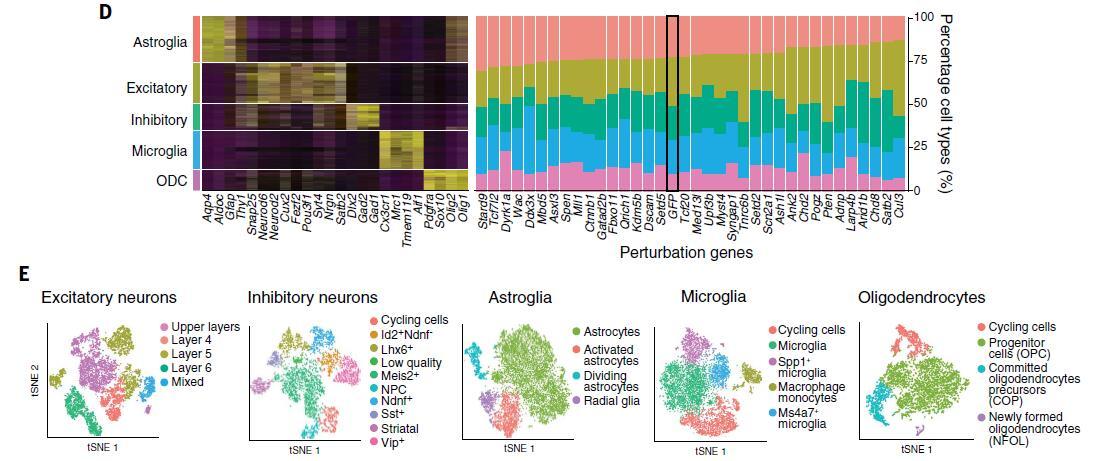 Science | 识别基因功能的新技术Perturb-Seq，并揭示自闭症有关风险基因 - 知乎
