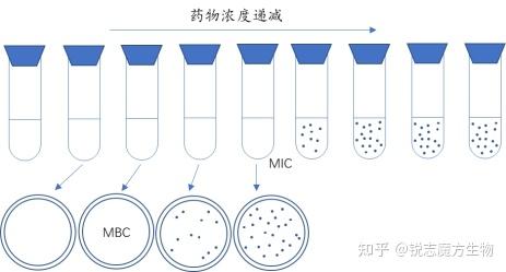 MIC和MBC测试 - 知乎