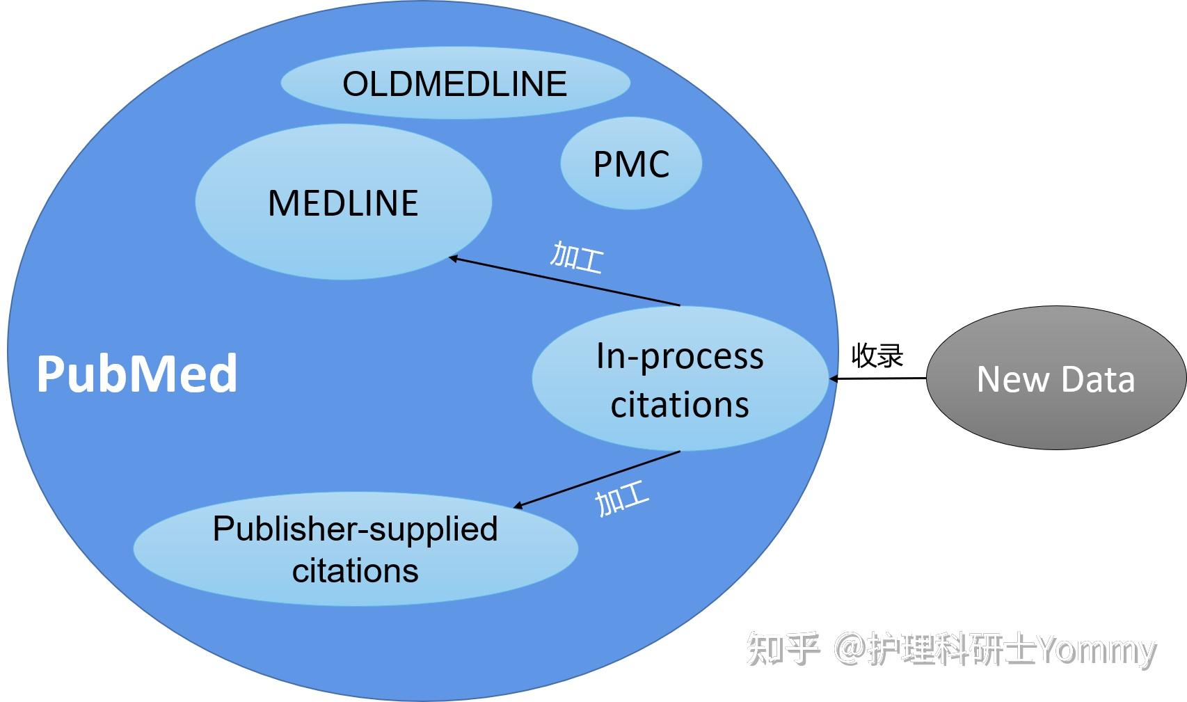 科研基础·从头开始认识PubMed - 知乎