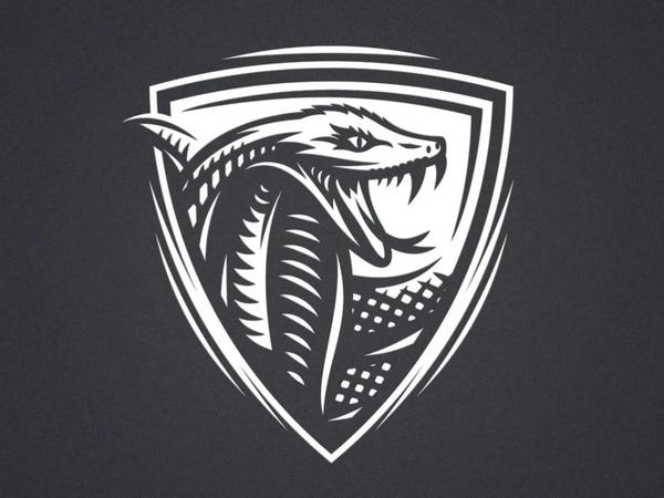 【分享】一组蛇元素logo设计 - 知乎