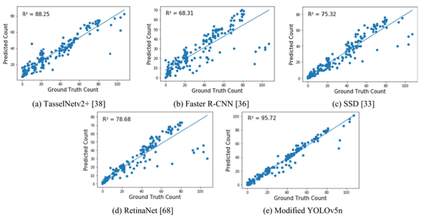基于YOLOV5的玉米雄穗检测和计数 - 知乎