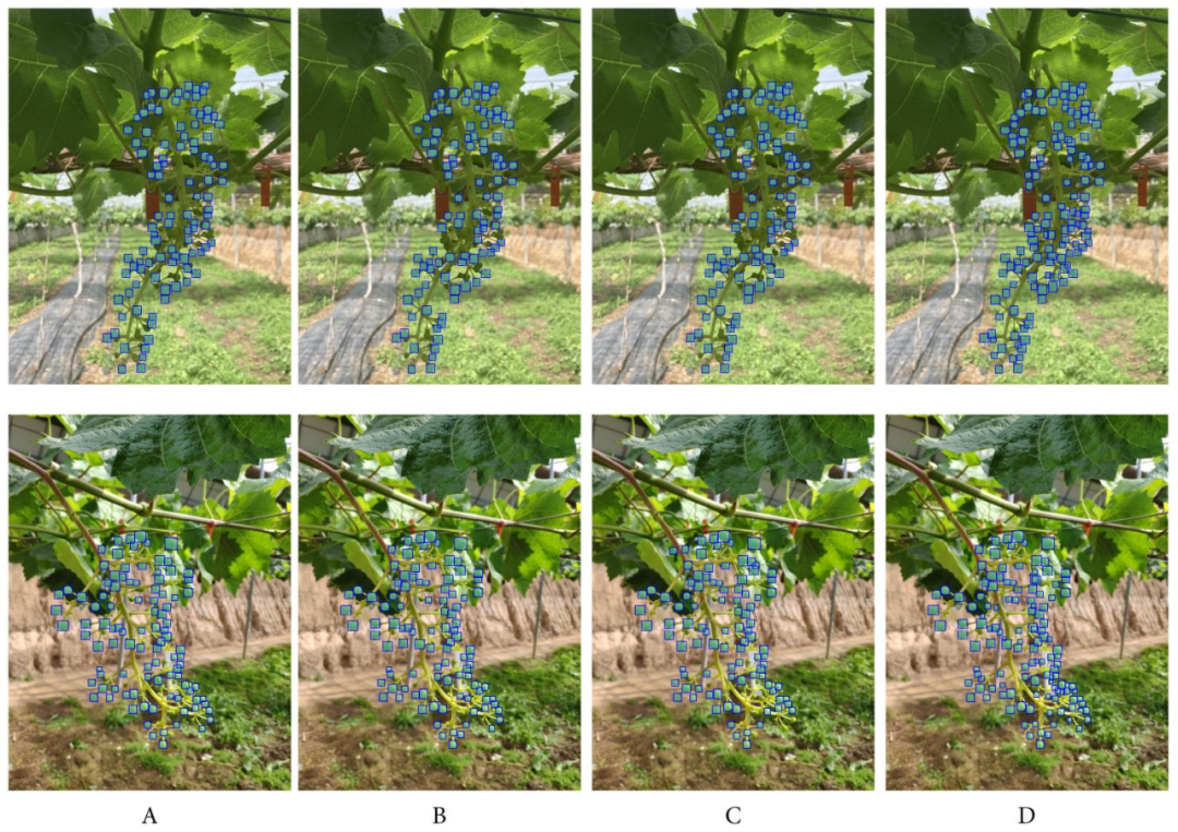 基于AS-SwinT疏果前单串葡萄果粒的实例分割与计数 - 知乎