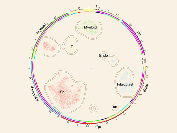 scRNA复现|所见即所得，和Cell学umap，plot1cell完成惊艳的细胞注释umap图 - 知乎