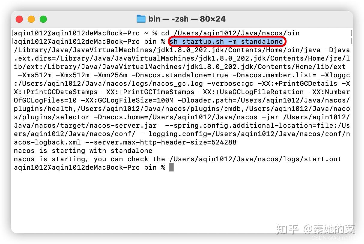 【保姆级】Spring Boot如何使用Nacos配置参数 - 知乎