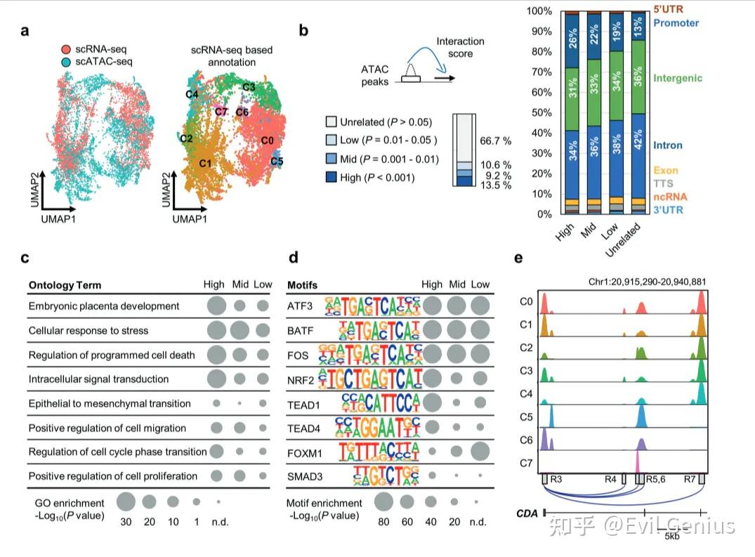 单细胞多组学（RNA + ATAC）联合分析的智慧 - 知乎