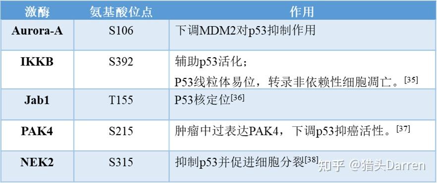 传奇抑癌基因P53的前世今生 - 知乎