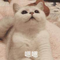 “七号电池”的英文不是“No.7 battery”，别再说错了！ - 知乎