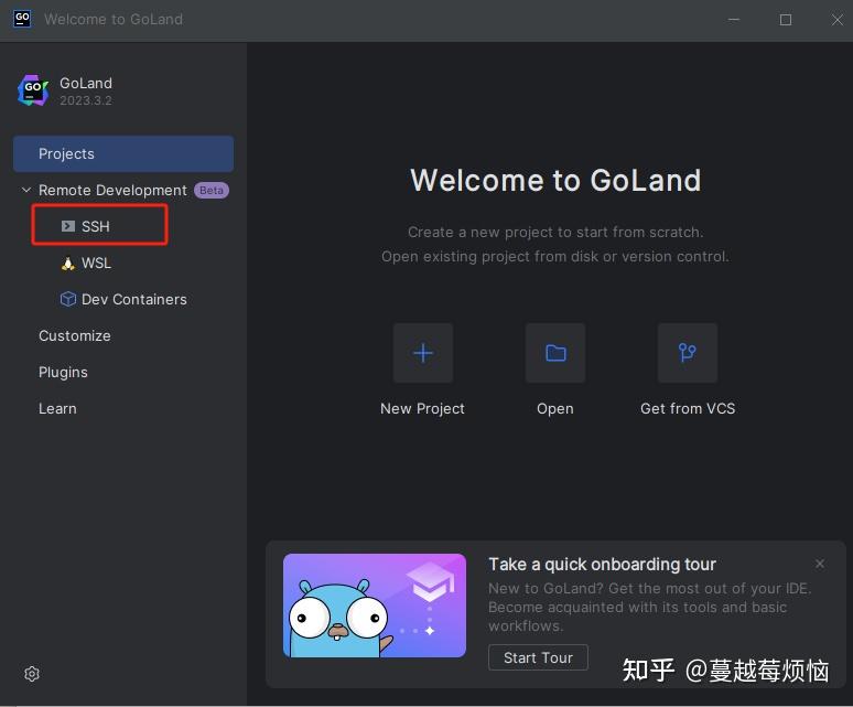 GoLand远程开发IDE：使用SSH远程连接服务器进行云端编程 - 知乎