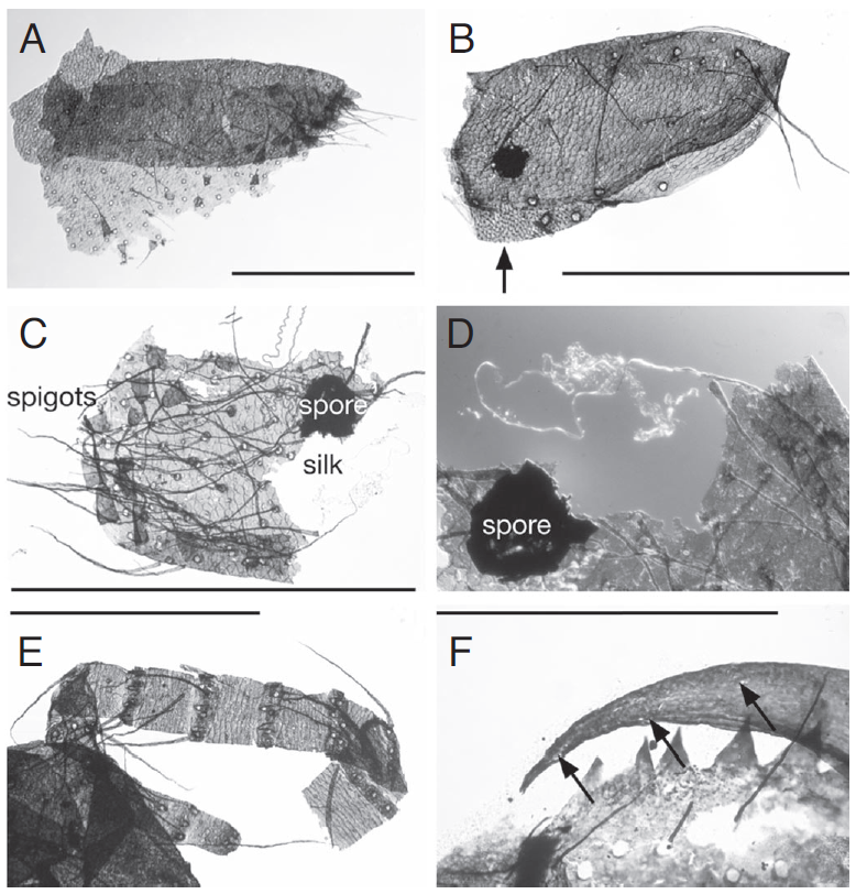 【地球演义】铁虿狰狞8：入我彀中 - 知乎