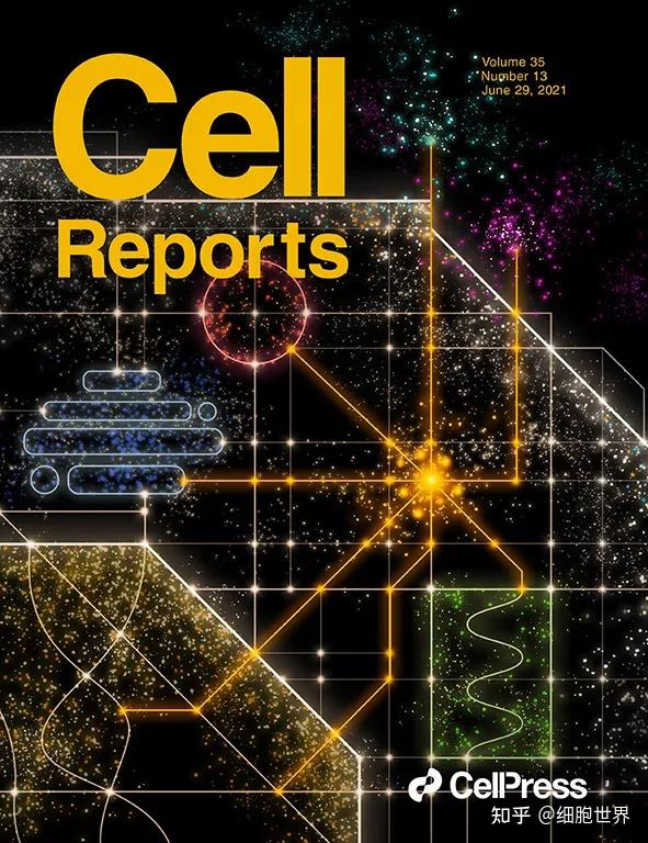 2021年6月，这些研究登上Cell Press期刊封面！ - 知乎