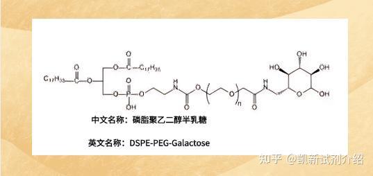 DSPE-PEG-Galactose（磷脂聚乙二醇半乳糖）—化学和生物合成方法 - 知乎