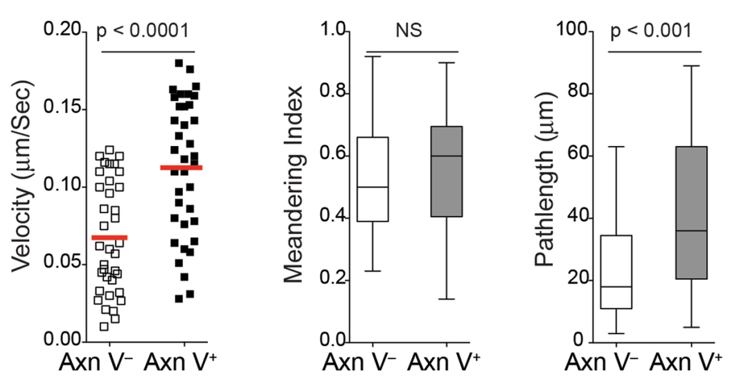 【靶点科普】ICAM-1：从免疫监视到病理过程 - 知乎