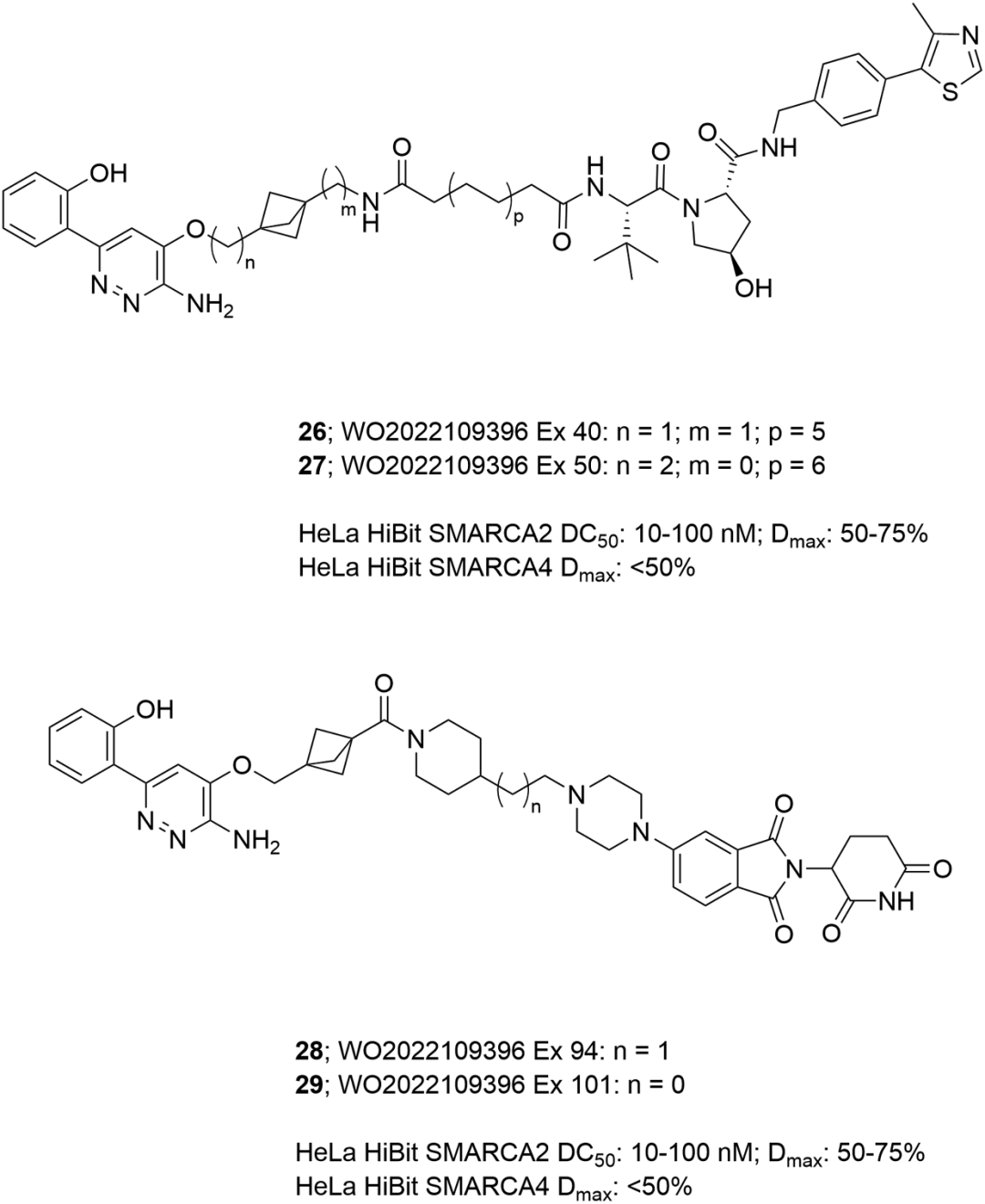 合成致死靶点SMARCA2: PROTAC蛋白降解剂 (专利综述) - 知乎