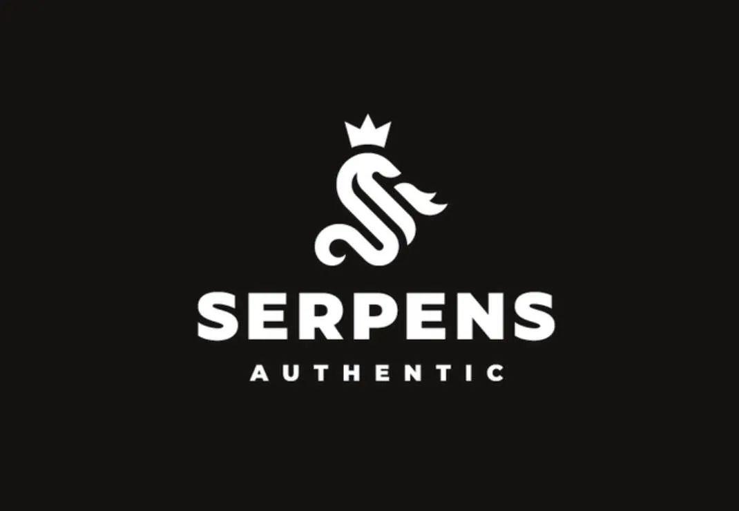 【分享】一组蛇元素logo设计 - 知乎