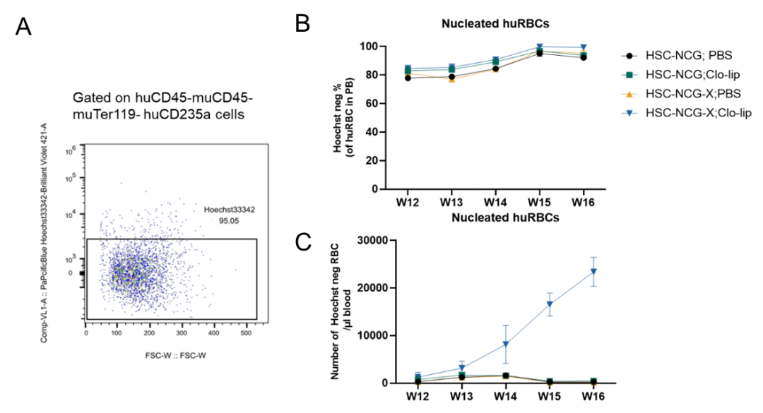 红细胞疾病药研:谁懂红系之痛，NCG-X小鼠乘风破浪越“关山” - 知乎