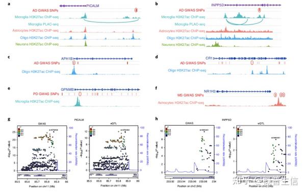 出道即巅峰！顶刊揭示单细胞联合QTL鉴定新的致病基因 - 知乎