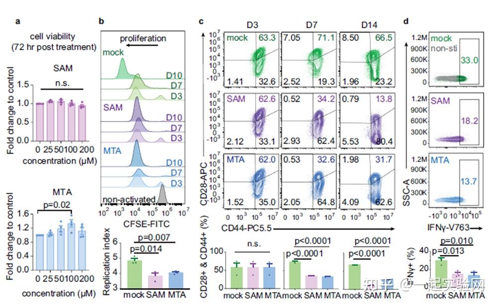 肿瘤蛋氨酸代谢驱动肝细胞癌T细胞耗竭 - 知乎