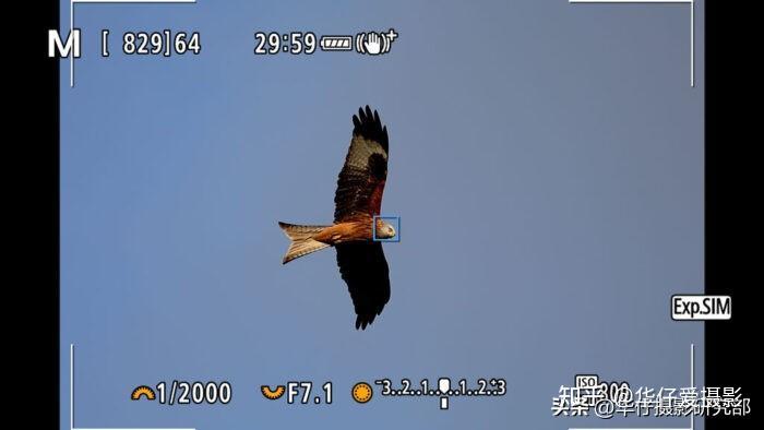 佳能 EOS R6 2代与R6 的详细区别，买了R6有必要升级R6 2代吗？ - 知乎