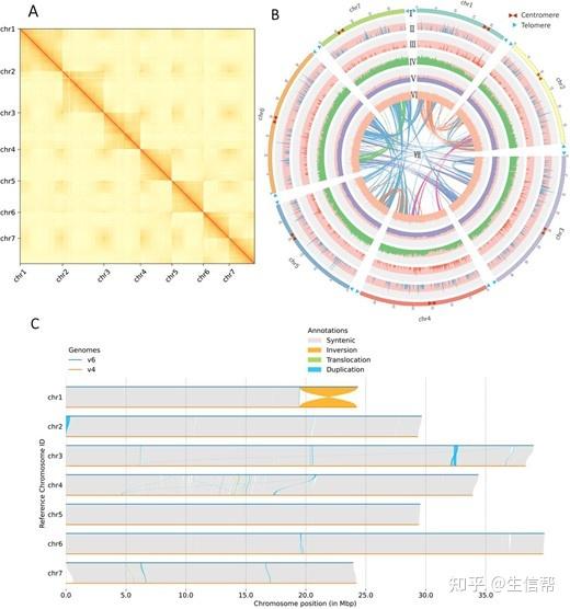 HR-草莓T2T基因组 - 知乎